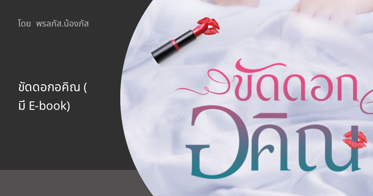 ขัดดอกอคิณ (มี E-book) - CHAPTER 45 ถ้าฉันมีเมีย: นิยายโรมานซ์