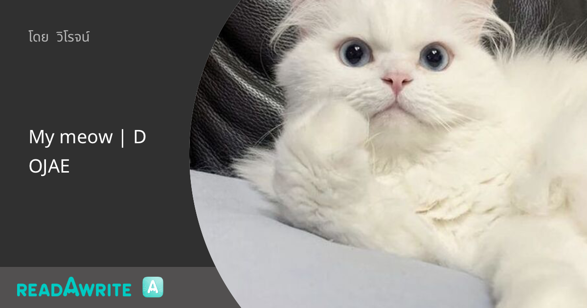 My meow | DOJAE: ฟิค Boy Love (แชท)