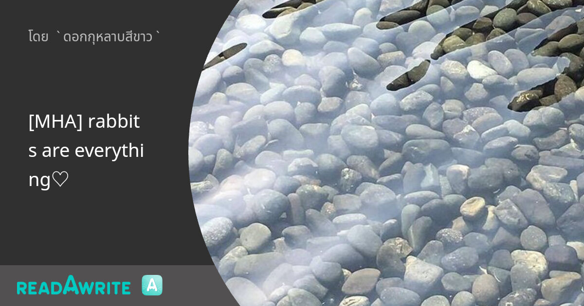 [MHA] rabbits are everything♡: ฟิคฟรีสไตล์ (แชท)