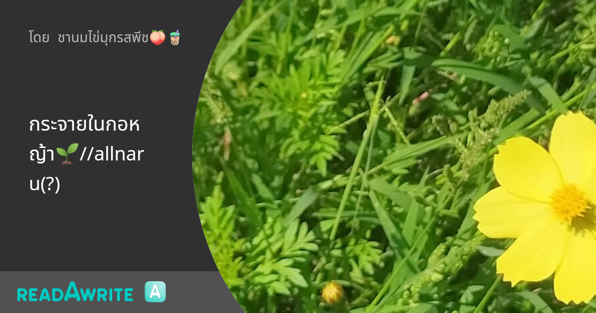 กระจายในกอหญ้า🌱//allnaru(?) - เราจะมาดูแลเอง : ฟิค Boy Love (แชท)