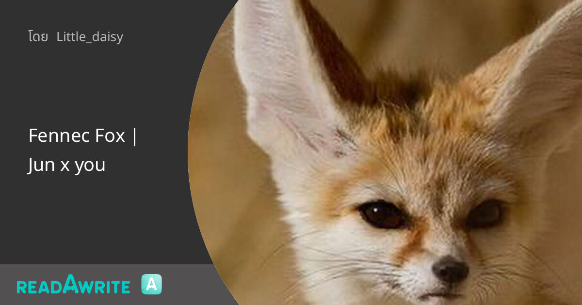 Fennec Fox | Jun x you: ฟิค Love Novel (แชท)