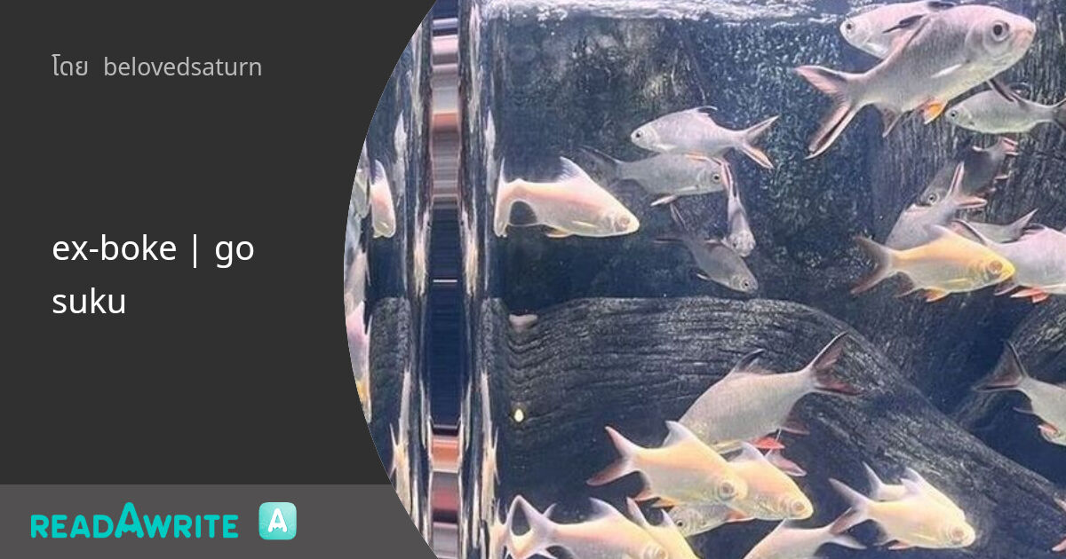 ex-boke | gosuku: ฟิค Boy Love (แชท)