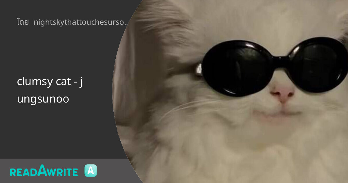 clumsy cat - jungsunoo: ฟิค Boy Love (แชท)