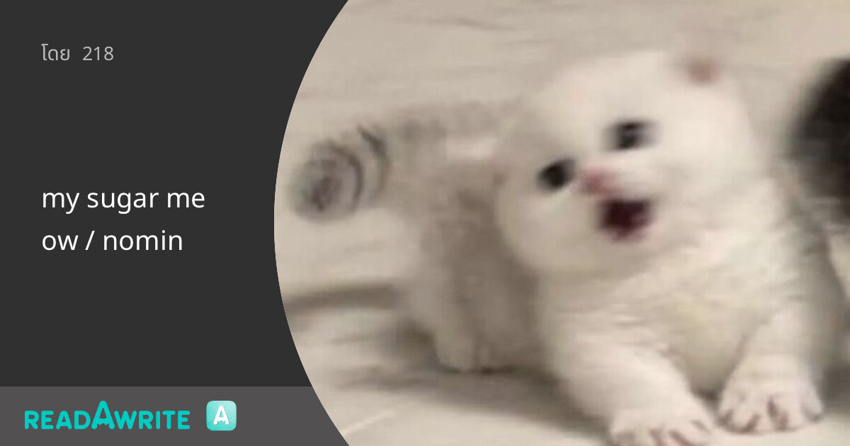 my sugar meow / nomin: ฟิค Boy Love (แชท)