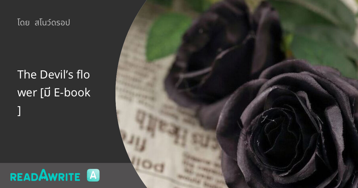 The Devil’s flower [มี E-book] - ตอนที่16 ลูกแมวกับโลกที่แปลกตา: นิยาย ...